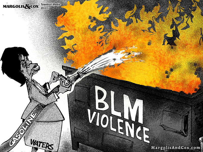 Gasoline – Margolis & Cox Editorial Cartoons